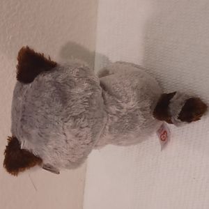 Ty | Accents | Ty Beanie Boos Oakie Racoon Rare | Poshmark
